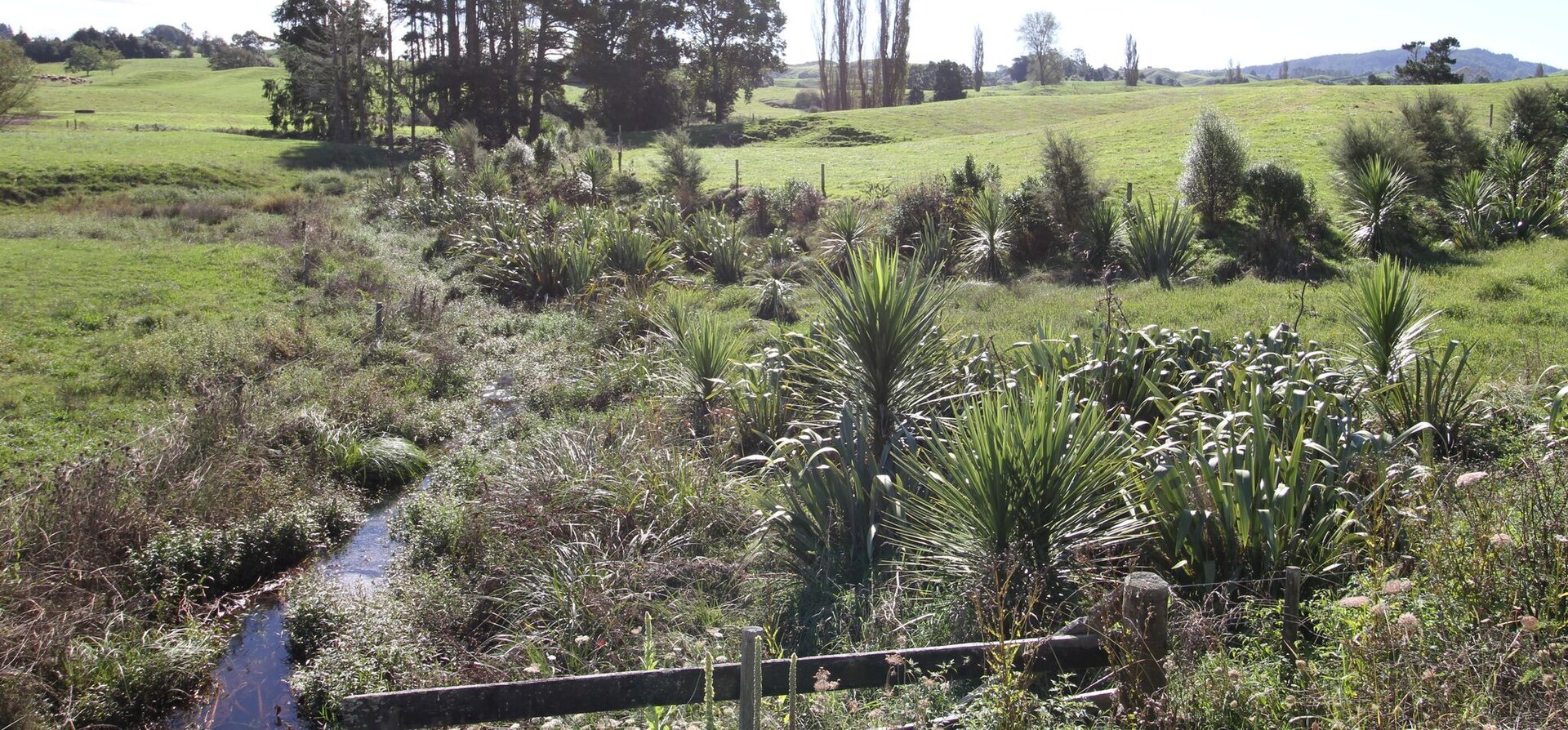 Lighthouse Farms | Wai Kokopu